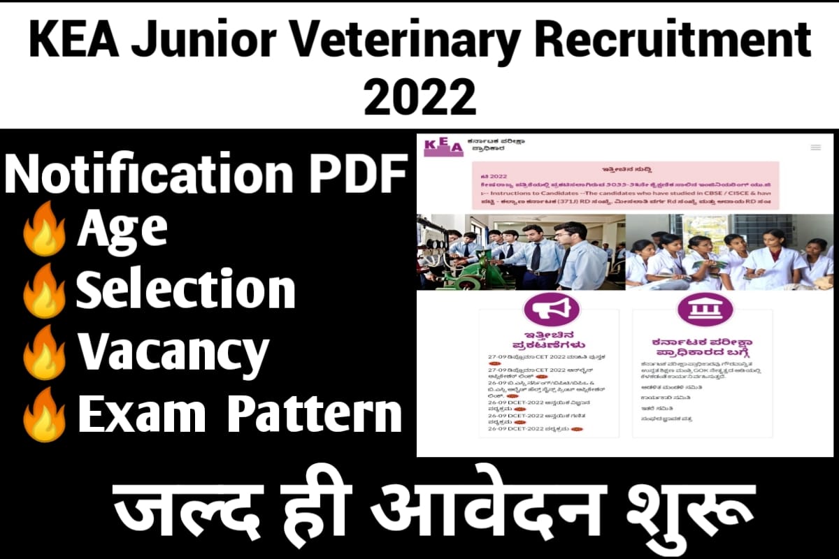 KEA Junior Veterinary Inspector Recruitment 2022 Apply For 250 Jr KEA Junior Veterinary Inspector Recruitment 2022 Apply For 250 Jr