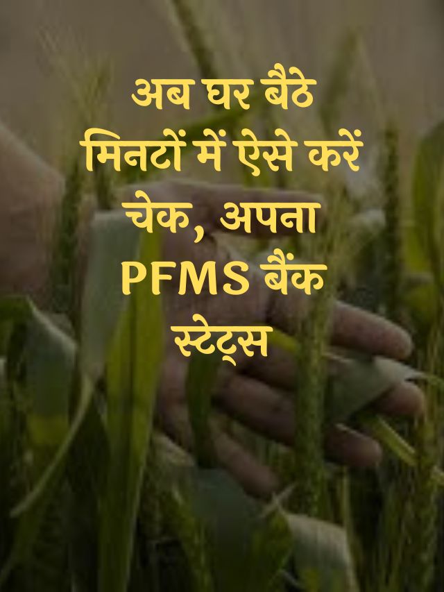 PM Kisan PFMS Bank Status Check