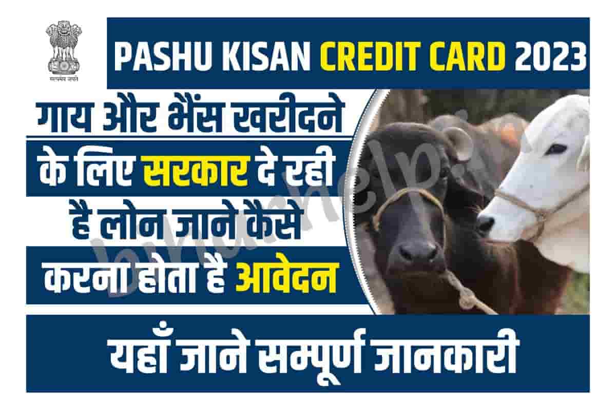 PASHU KISAN CREDIT CARD 2023: गाय और भैंस खरीदने के लिए सरकार दे रही है ...