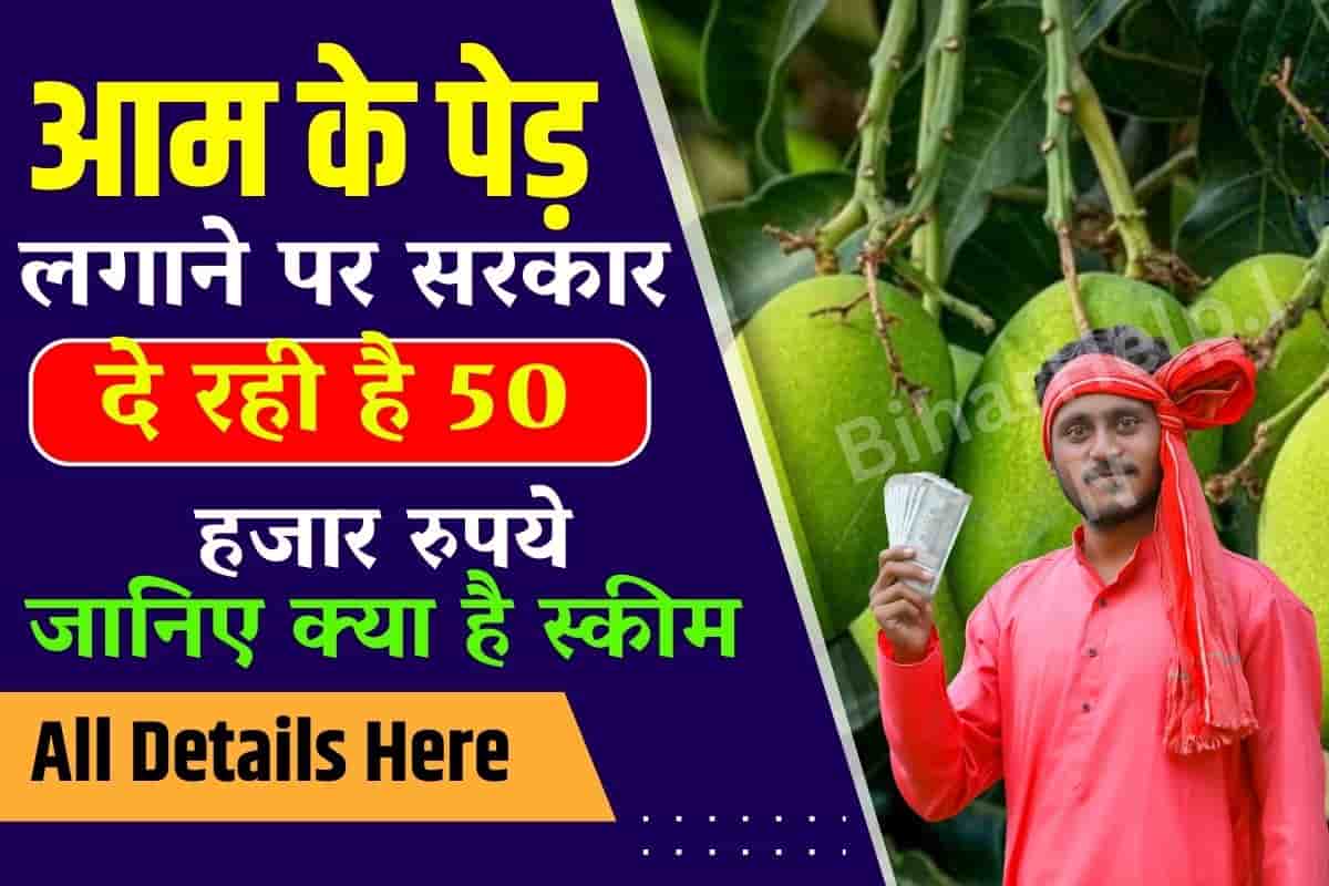 Saghan Bagwani Yojana: आम के पेड़ लगाने पर सरकार दे रही है 50 हजार ...