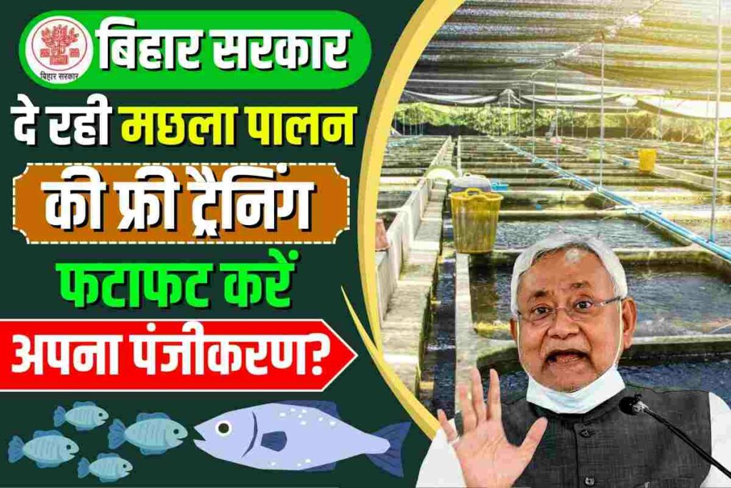 Bihar Fish Farming Training: बिहार सरकार दे रही मछला पालन की फ्री ...