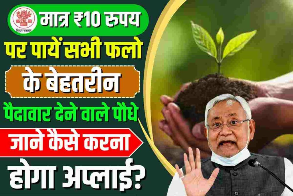 Bihar Krishi Vaniki Yojana: मात्र ₹10 रुपय पर पायें सभी फलो के बेहतरीन ...