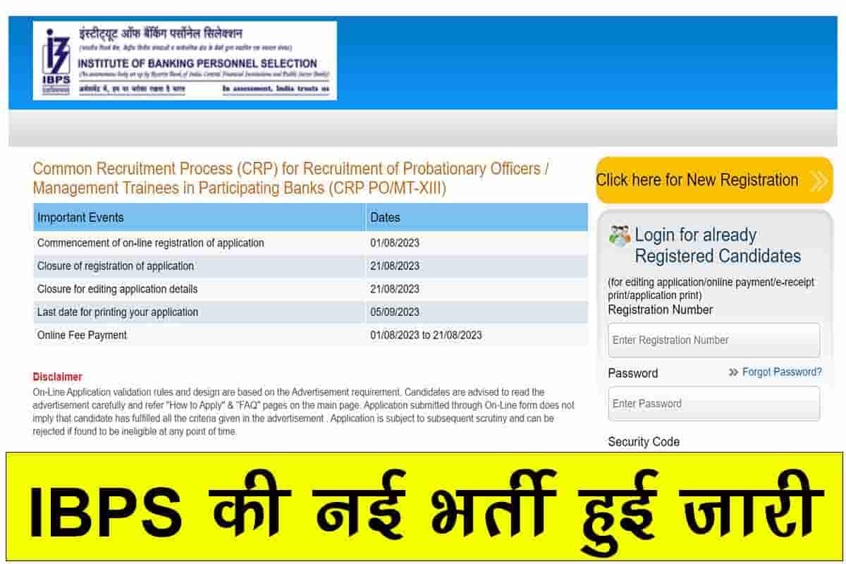IBPS PO Recruitment 2023: IBPS की नई भर्ती हुई जारी, जाने बैंक मे कितनी ...