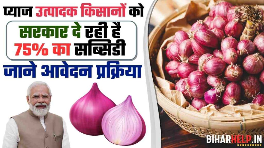 Bihar Pyaj Bhandaran Yojana 2024-25: प्याज उत्पादक किसानों को सरकार दे ...