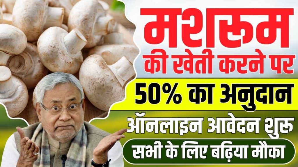 Bihar Mushroom Farming Subsidy Yojana: बिहार सरकार दे रही है मशरुम की ...