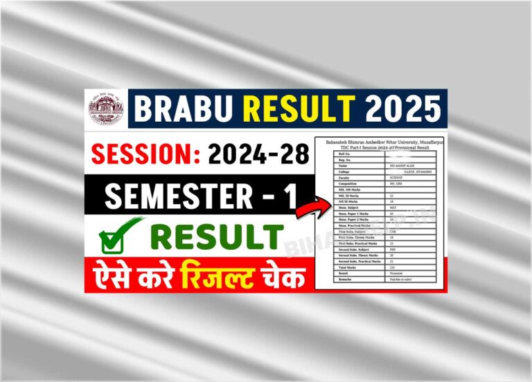 BRABU UG 1st Semester Result 2024-28 PDF Download Link (Out) - बिहार ...