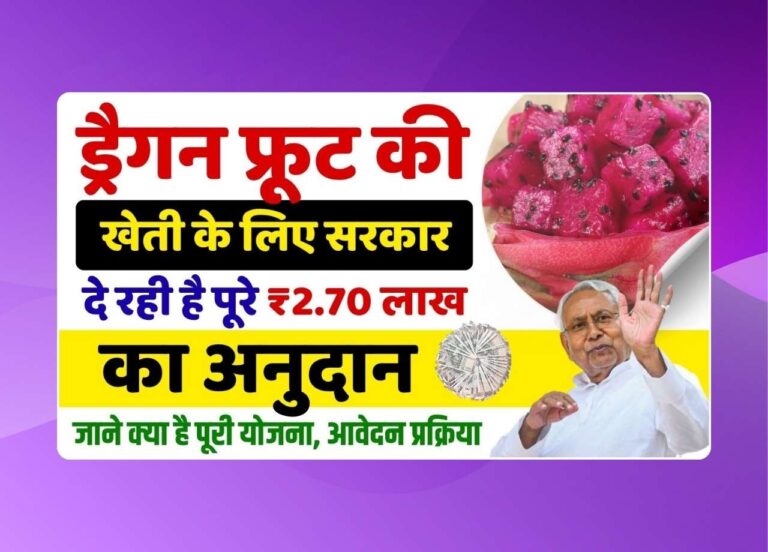 Bihar Dragon Fruit Vikas Yojana 2025: ₹2.70 लाख तक की सब्सिडी, ऐसे करें ...