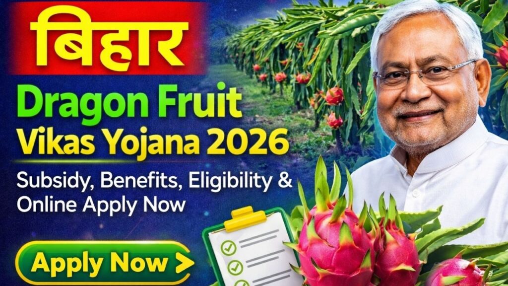 Bihar Dragon Fruit Vikas Yojana 2026: Subsidy, Benefits, Eligibility ...